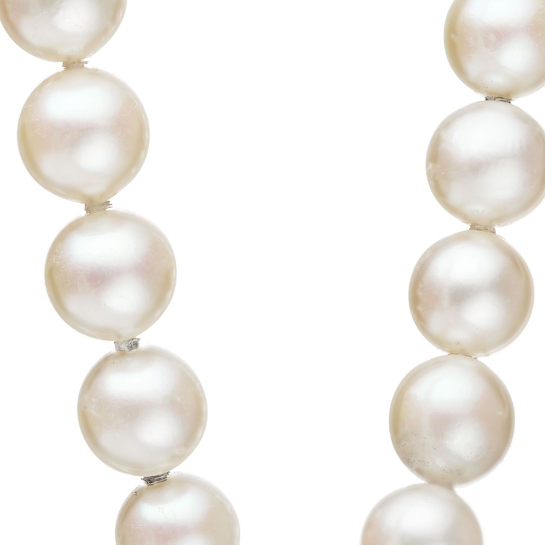 Premium Warm White Akoya Pearls 6.5-7mm – Birthright Foundry